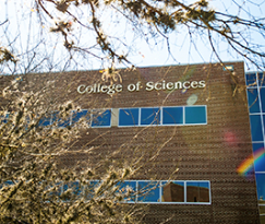 University of Central Florida Foundation